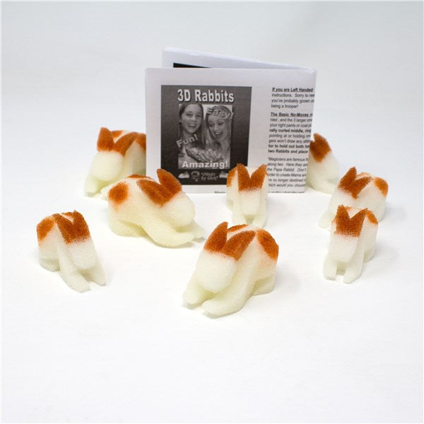 Multiplying Rabbits in 3D - Large Sponge Rabbits Appear, Disappear and ...